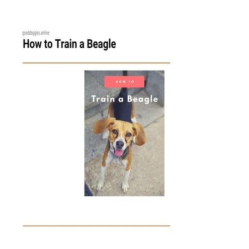 How to Train a Beagle | PDF