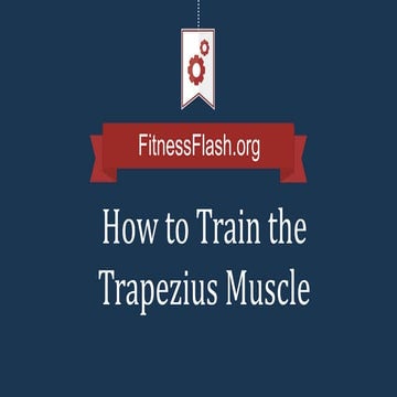 How to Train The Trapezius Muscle | PPTX