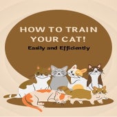 How to training your cat! | PDF