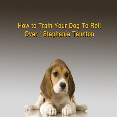 Stephanie Taunton | How to Train Your Dog To Roll Over | PPT