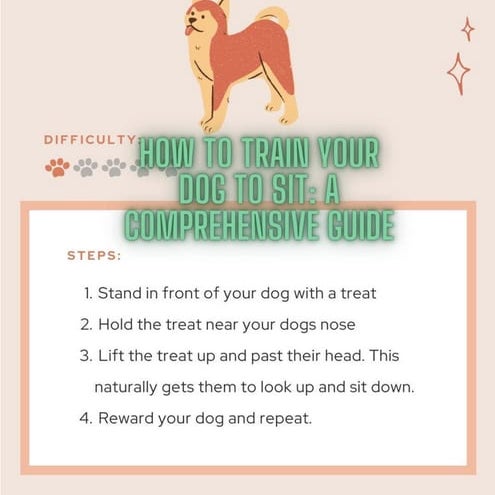 How to Train Your Dog to Sit.pdf