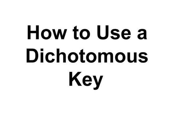 Identifying Unknown Bacteria Lab | DOCX | Chemistry | Science