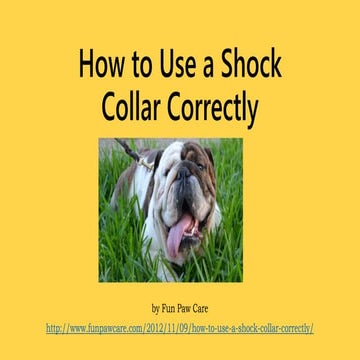 How to Use a Shock Collar Correctly | PPTX