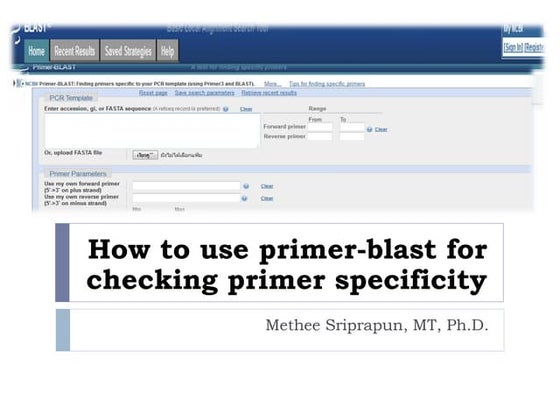 How to design a DNA primer on NCBI.pptx | Genetics | Science
