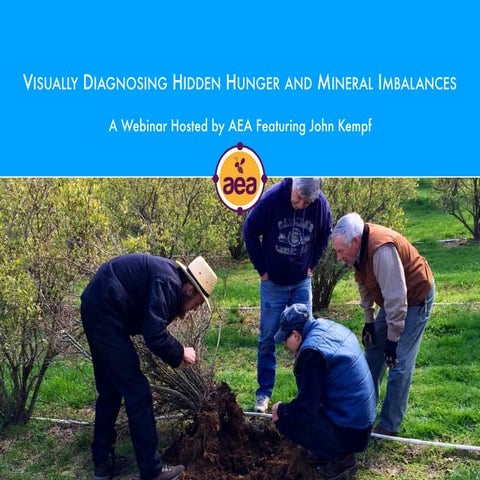 How to Visually Diagnose Hidden Hunger and Mineral Imbalances | PPT