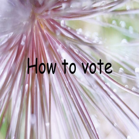 How to vote | PDF