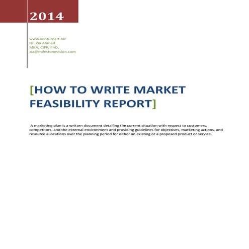 How To Write Market Feasibility Report | PDF