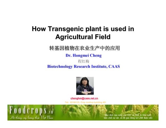 Gmo's ppt....... | PPT | Biotech and Biomedical Industry | Industries