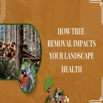How Tree Removal Impacts Your Landscape Health | PDF