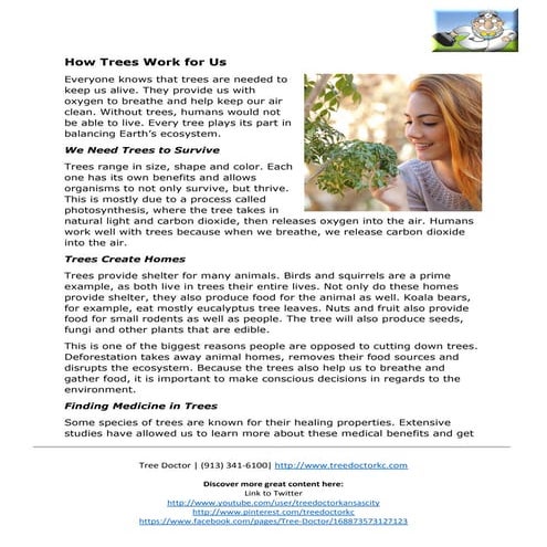 How Trees Work for Us | PDF