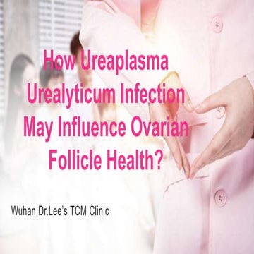 How Ureaplasma Urealyticum Infection May Influence Ovarian Follicle ...