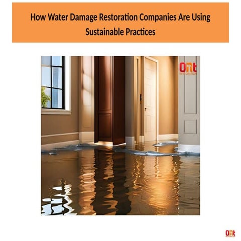 How Water Damage Restoration Companies Are Using Sustainable Practices ...