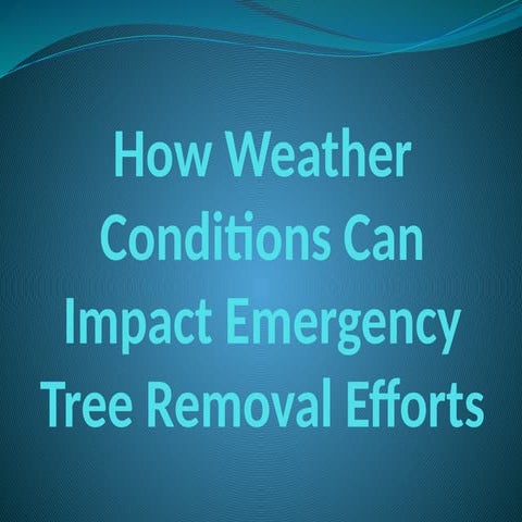 How Weather Conditions Can Impact Emergency Tree Removal Efforts.pptx