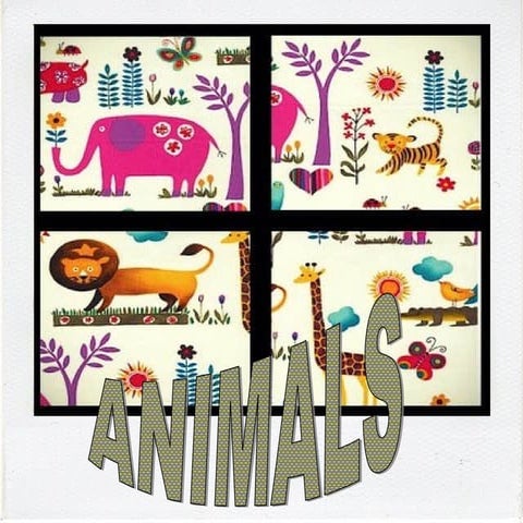 How we classify animals-speaking exercise | PPT