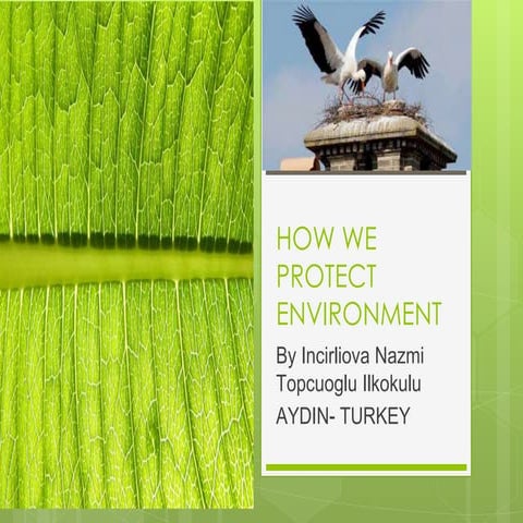 How we protect environment turkey | PPTX
