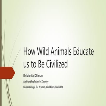 How wild animals educate us to be civilized | PPT