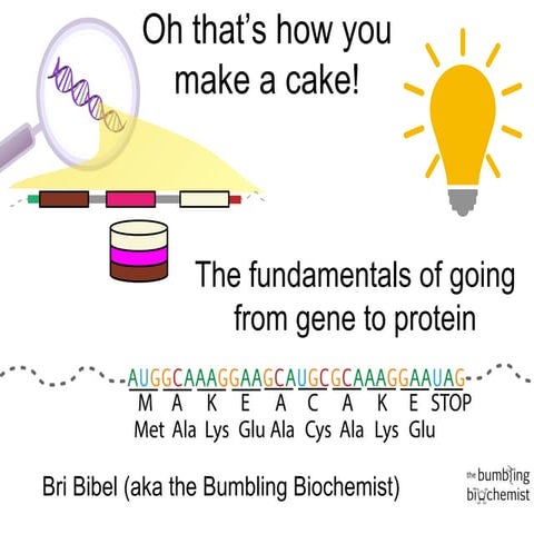 Oh, that's how you make a cake! The fundamentals of going from gene to ...