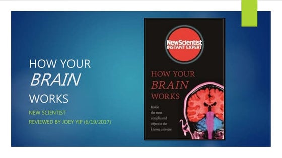 Our Amazing Brain | PPT