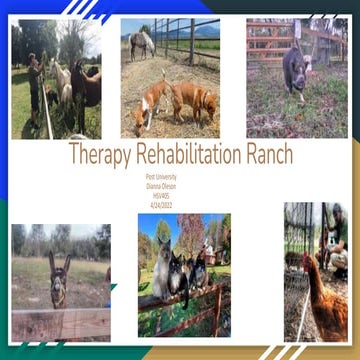 Therapy_Rehabilitation_Ranch.pptx