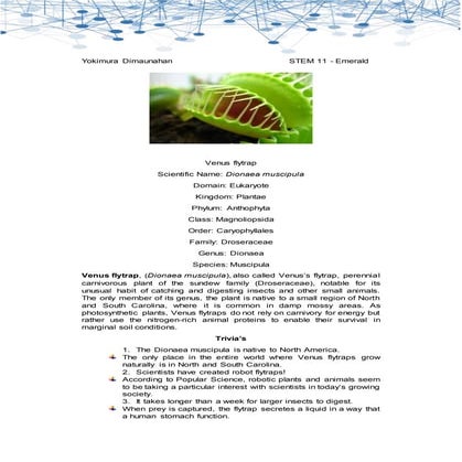 Venus flytrap and Philippine Eagle | PDF