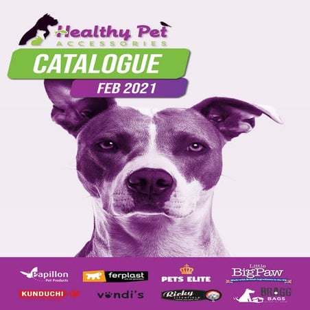 Healthy Pet Accessories 2021 March Catalogue | PDF
