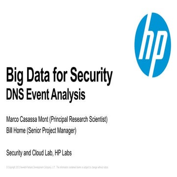 Big Data for Security - DNS Analytics | PPTX