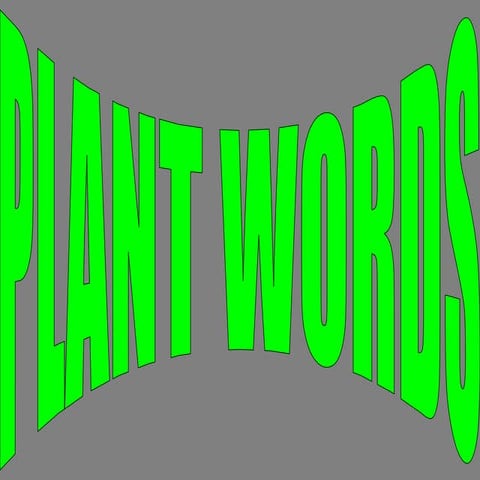 plant word | PPT
