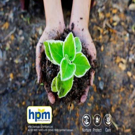 HPM's New Ppt | PDF