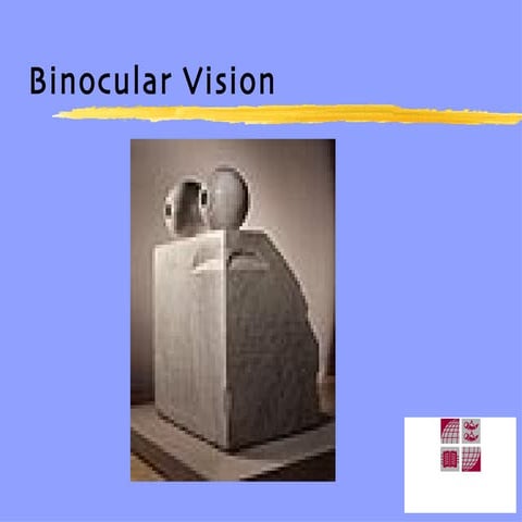Binocular vision | PPT