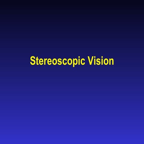 Stereoscopic Vision | PPT