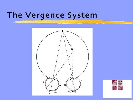 Vergences of the eye | PPT