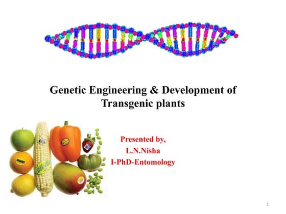 Basic principles of genetic engineering | PPT