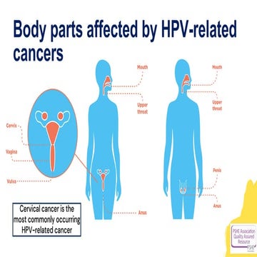 HPV virus and vaccination powerpoint.... | PDF