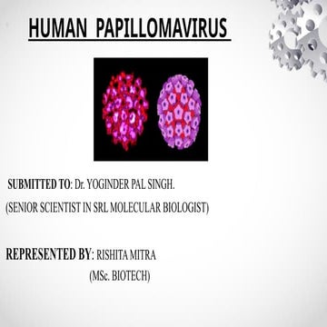 Presentation on human papiloma virus and its briefly description | PPTX