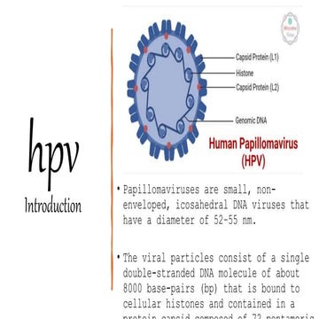 Understanding HPV: A Comprehensive Overview.pptx