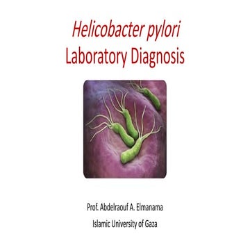 H pylori | PDF