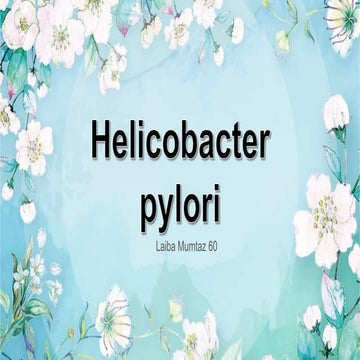 h pylori.pptx