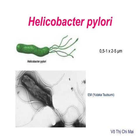 H pylori clin virulence-diag aspects, Dr VO THI CHI MAI | PDF