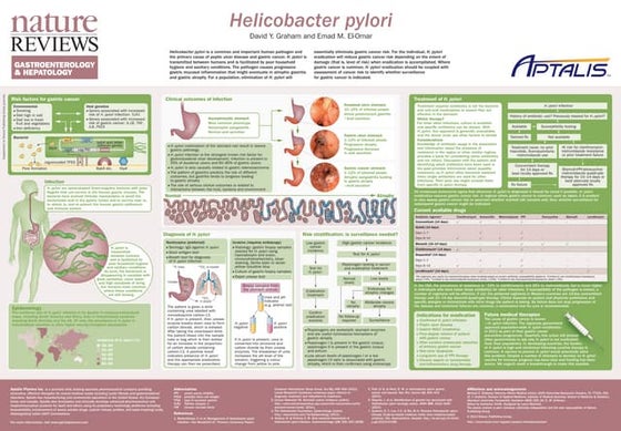 Helicobacter pylori infections | PPTX | Digestive Disorders | Diseases and Conditions