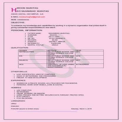 A PROFESSIONAL CV FORMAT FOR JOB WITH ALL DETAILS | PDF