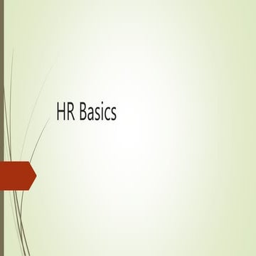 HR Basics | PPTX