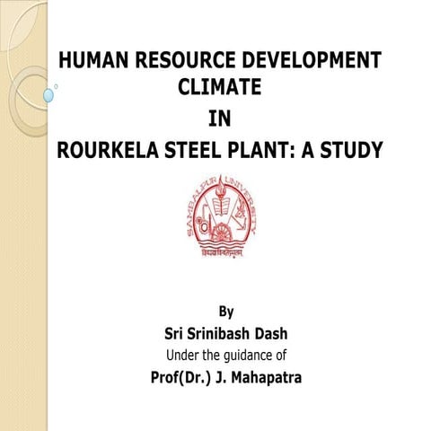 Hrd climate survey_ppt | PDF