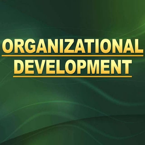 HUMAN RESOURCE MANAGEMENT INTERVENTIONS.pptx