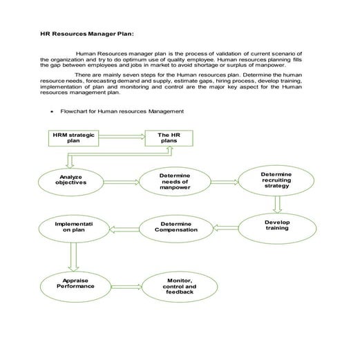 HR manager plan.docx