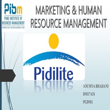 Pidilite Industries | PPTX