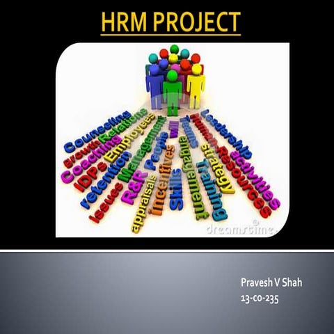 HRM Thesis at Southern Investments | PPTX