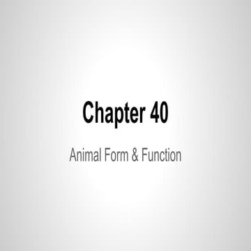Introduction to animal form & function | PPTX