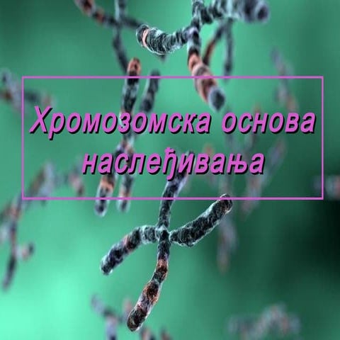 Fotosinteza, disanje i transpiracija | PPTX