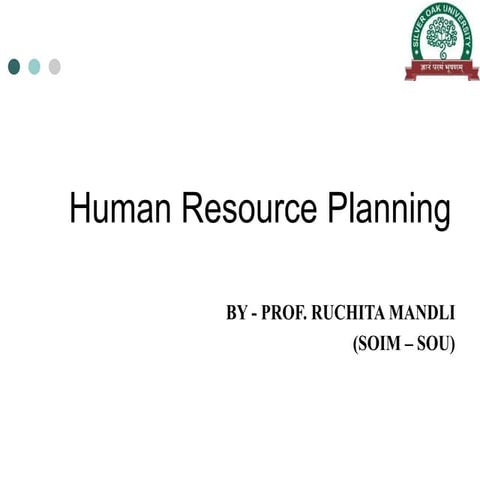 HUMAN RESOURCE PLANNING .ppt DETAILS AND CHARTS | PPT