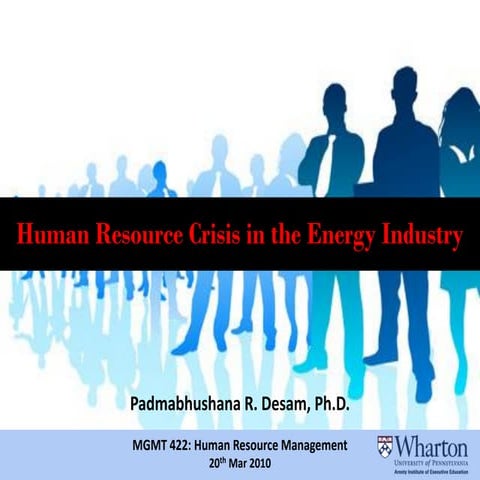 Human Resource Issues in the Energy Industry | PDF